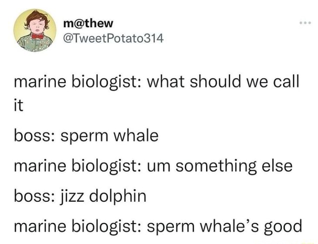 Marine biologist: what should we call it boss: sperm whale marine ...