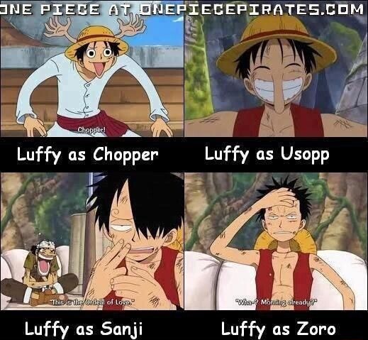 Luffy as Chopper Luffy as Usopp Luffy as Sanji Luffy as Zoro - iFunny