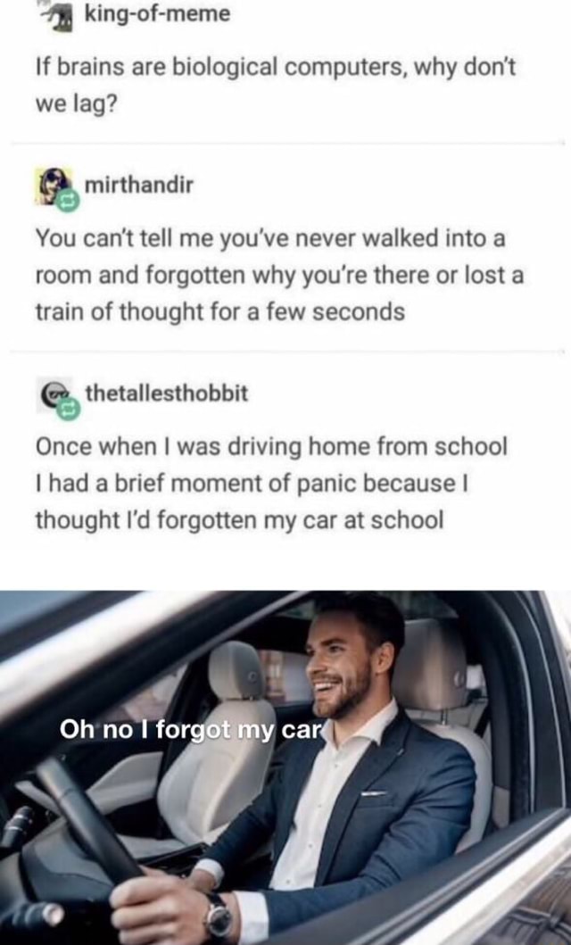 A king-of-meme If brains are biological computers, why don't we lag ...