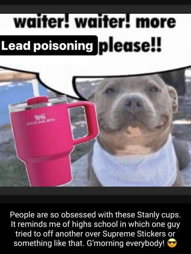 Lead poisoning please People are so obsessed with these Stanly cups. It ...