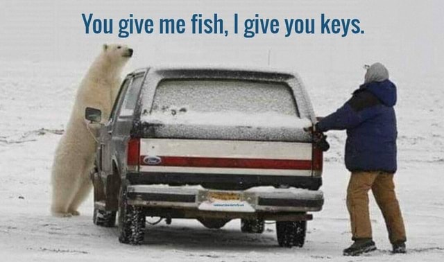 You give me fish, I give you keys. - America’s best pics and videos