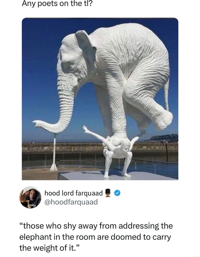 Any poets on the tl'? "those who shy away from addressing the elephant ...