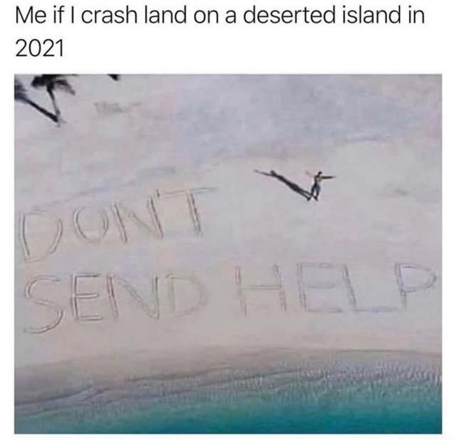 Me if I crash land on a deserted island in 2021 - iFunny