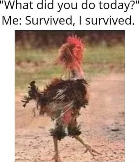 "What did you do today?" Me: Survived, I survived. - iFunny