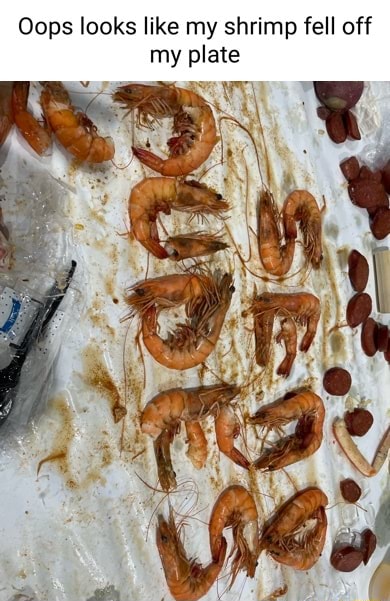 Oops looks like my shrimp fell off my plate - iFunny