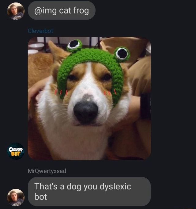 @img cat frog MrQwertyxsad That's a dog you dyslexic bot - iFunny