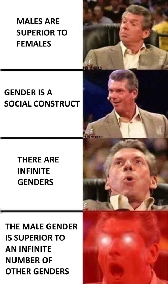MALES ARE SUPERIOR TO FEMALES GENDER IS SOCIAL CONSTRUCT THERE ARE ...