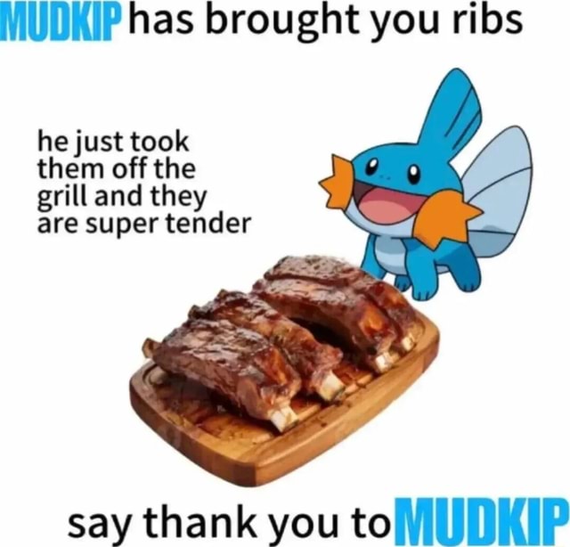 MUDKIP has brought you ribs he just took them off the grill and they ...