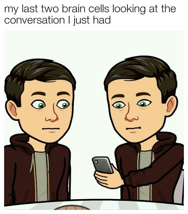 My last two brain cells looking at the conversation I just had - iFunny