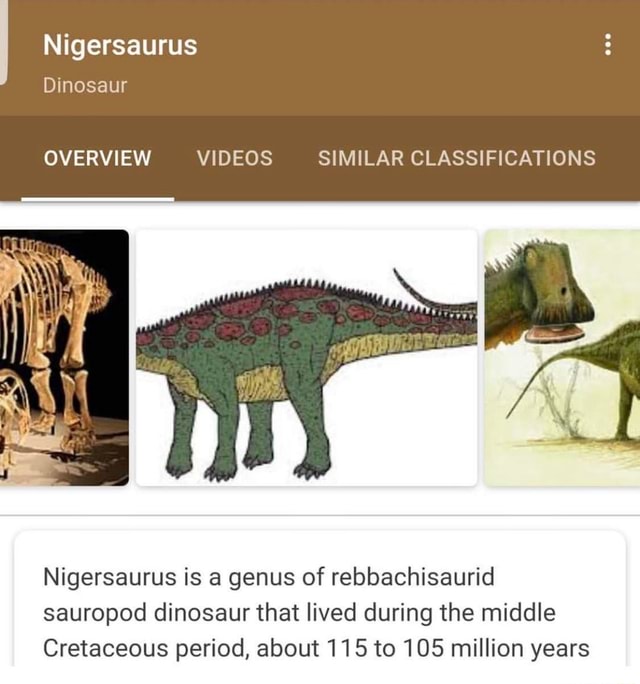 Nigersaurus Dinosaur OVERVIEW VIDEOS SIMILAR CLASSIFICATIONS ...
