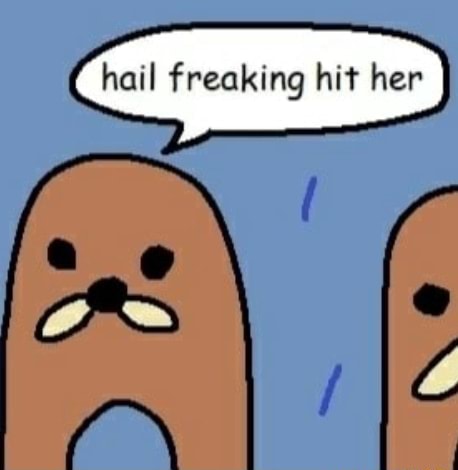 Hail freaking hit her - iFunny