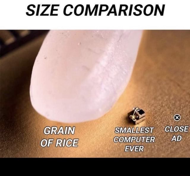 SIZE COMPARISON GRAIN SMALLEST CLOSE COMPUTER AD OF RICE yer - - iFunny