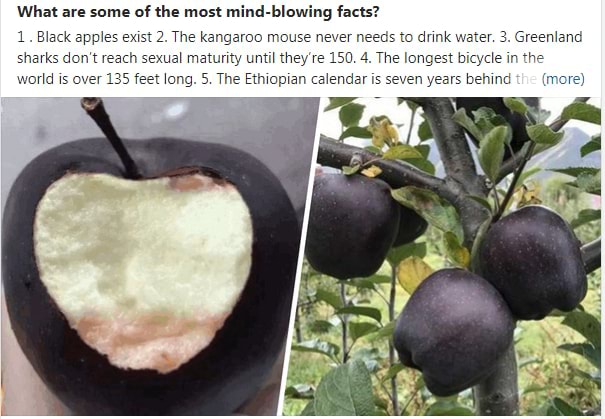 Color full apple - What are some of the most mind. blowing facts? 1 ...