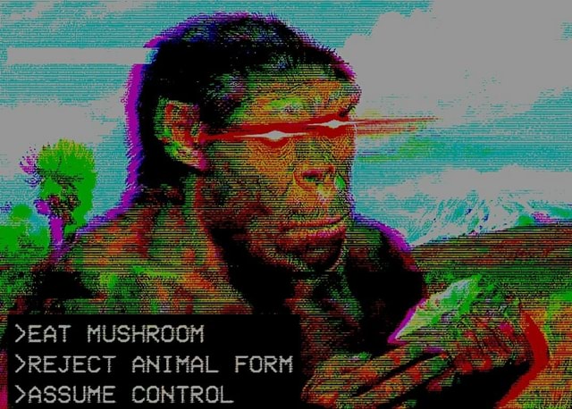 SEAT MUSHROOM REJECT ANIMAL FORM ASSUME CONTROL - iFunny