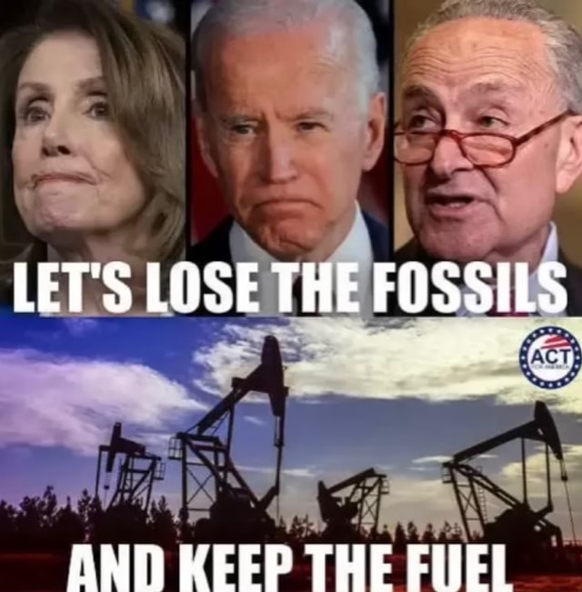 LET'S LOSE THE FOSSILS ANT KEEP THE FIJEL - iFunny