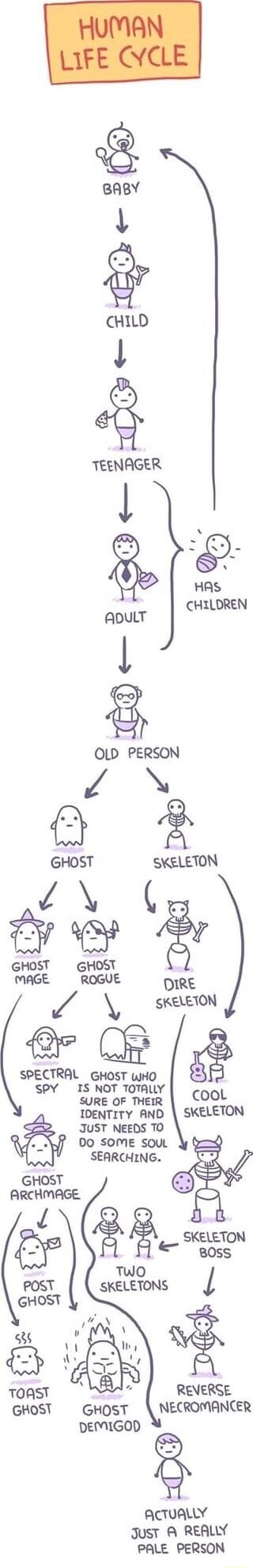 HUMAN LIFE CYCLE BABY CHILD TEENAGER HAS ADULT CHILDREN OLD PERSON ST ...