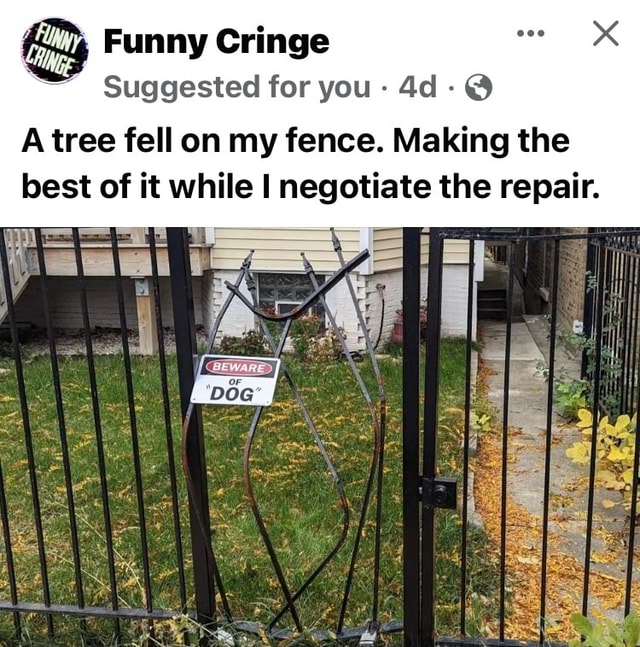 & Funny Cringe Suggested for you tree fell on my fence. Making the best ...