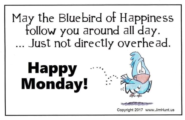 May the Bluebird of Happiness follow you around all day. Just not ...