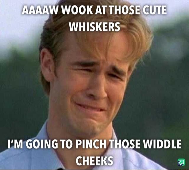 Why Skaven stay underground - AAAAW WOOK AT THOSE CUTE WHISKERS ty ...