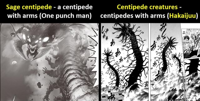 Sage centipede - a centipede Centipede creatures - with arms (One punch ...