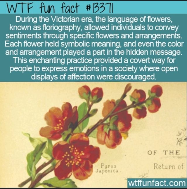 Tun During the Victorian era, the language of flowers, known as ...