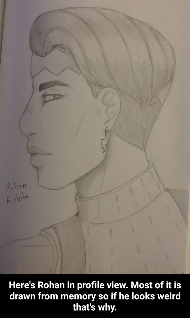 Here's Rohan in profile view. Most of it is drawn from memory so if he ...