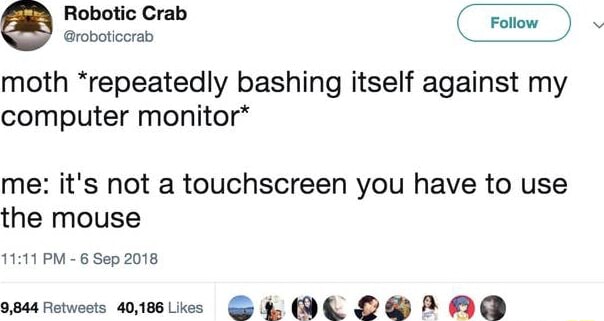 Robotic Crab moth *repeatedly bashing itself against my computer ...