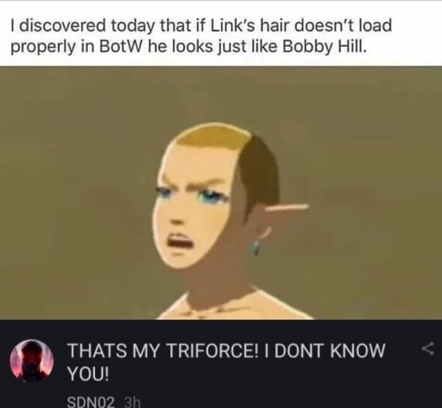 I discovered today that if Link's hair doesn't load properly in BotW he ...