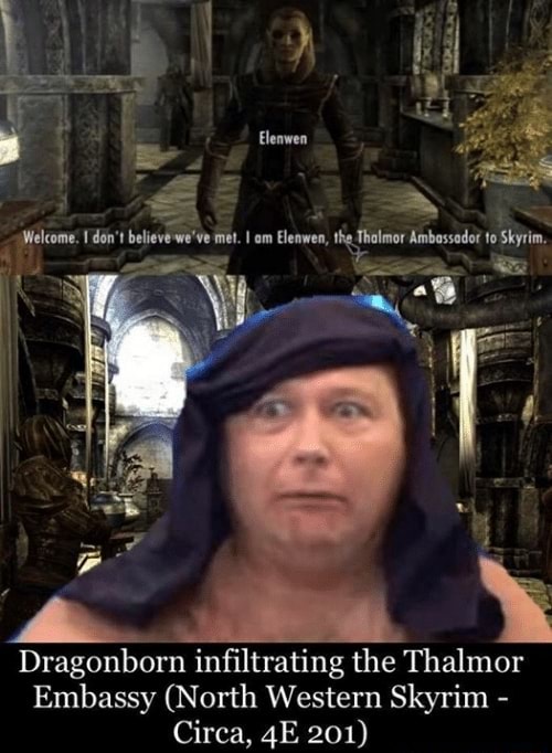 Elenwen Welcome. 've met. I am Elenwen, the: Thalmor Ambassador to ...