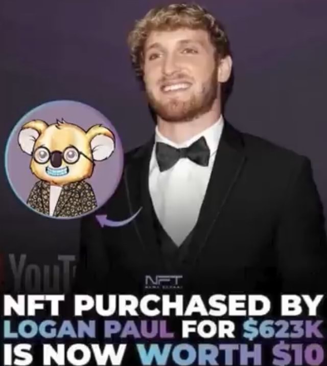 NET PURCHASED BY LOGAN PAUL FOR $623K IS NOW WORTH - iFunny