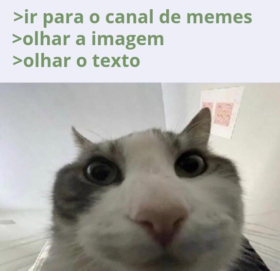 >ir para o canal de memes >olhar a imagem >olhar o texto - iFunny Brazil