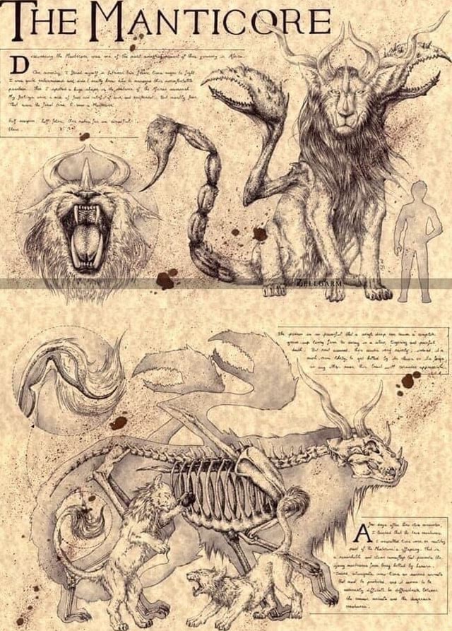 HE MANTICORE - iFunny Brazil