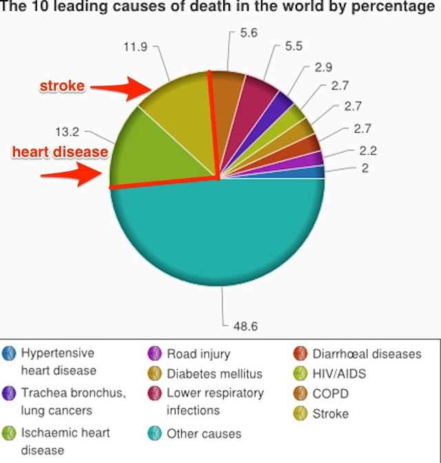 The 10 leading causes of death in the worla by percentage 5.6 29 27 27 ...