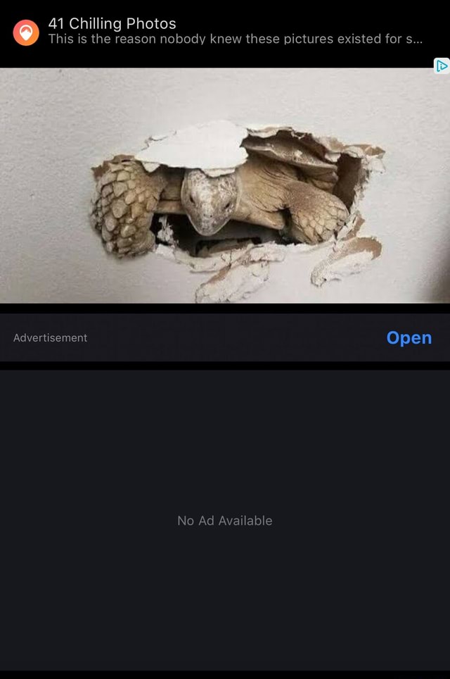 41 Chilling Photos This is the reason nobody knew these pictures ...