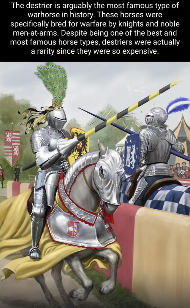 The destrier is arguably the most famous type of warhorse in history ...