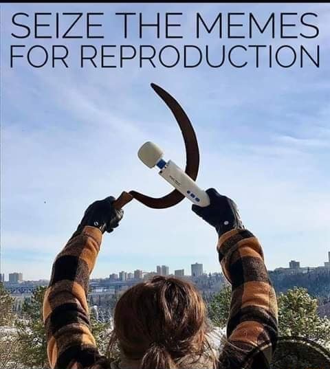 SEIZE THE MEMES FOR REPRODUCTION - iFunny