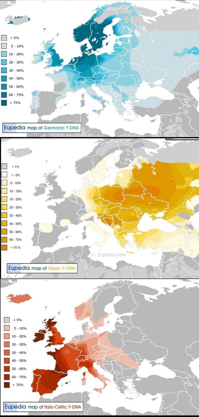 > 5% [Eupedia map of Germanic Y-DNA Eupedia map of Slavic Y-DNA So ...