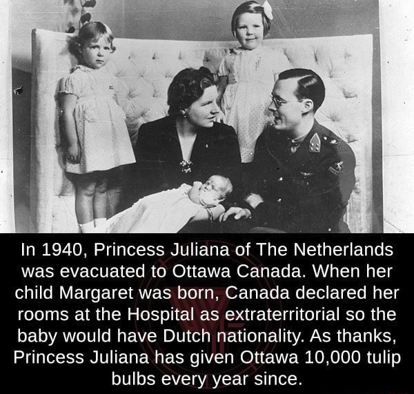 In 1940, Princess Juliana of The Netherlands was evacuated to Ottawa ...