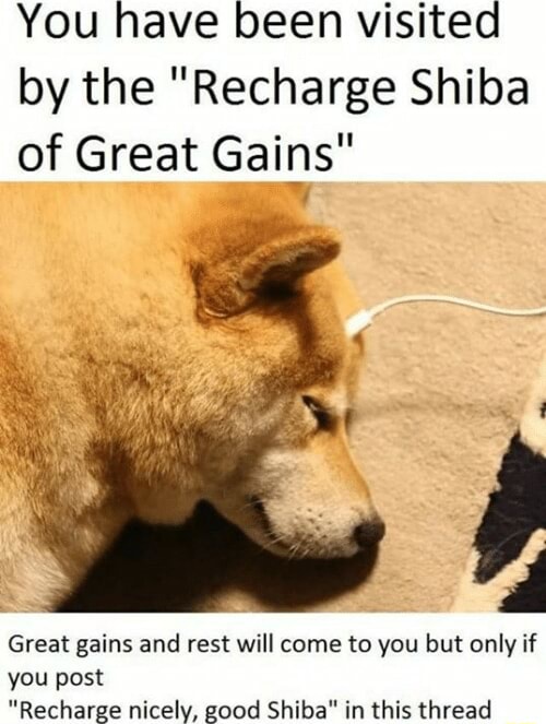 You have been visited by the "Recharge Shiba of Great Gains" Great ...