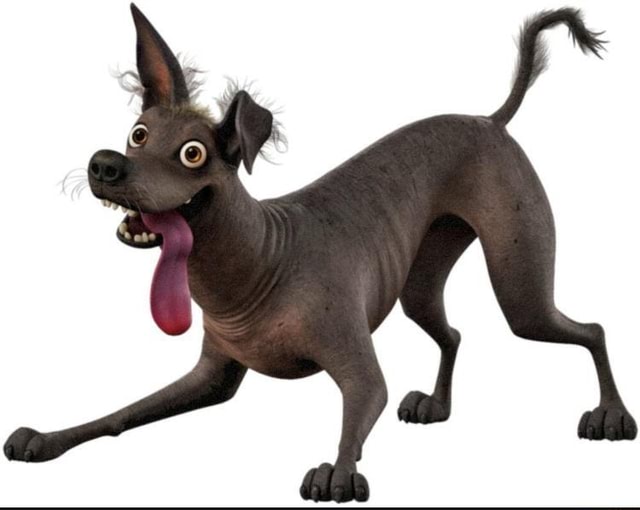 Dante from #Disney’s Coco… - iFunny