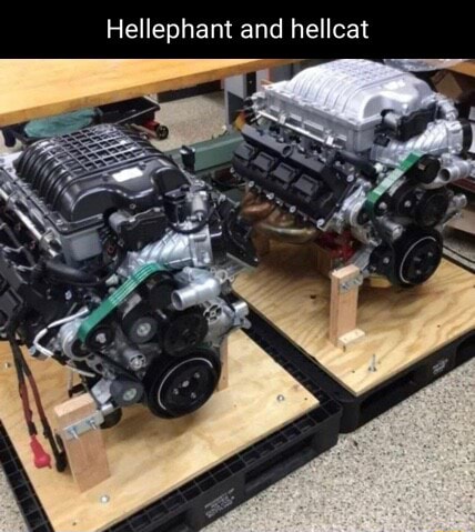 Hellephant and hellcat - iFunny