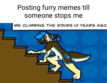Posting furry memes till someone stops me ME CLIMBING THE STAIRS YEARS ...