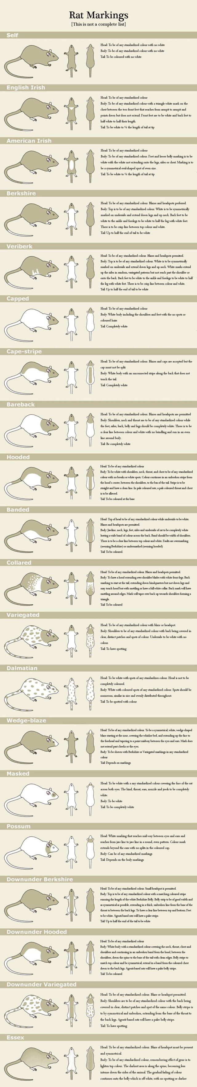 Rat Markings [This is not a complete list] Self Head: To be of any ...