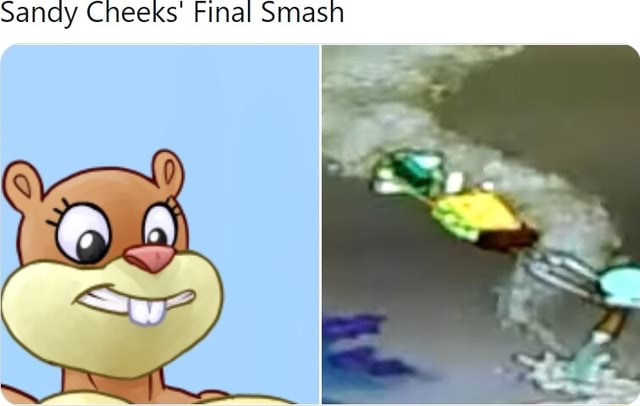 Sanely Cheeks Final Smash - iFunny