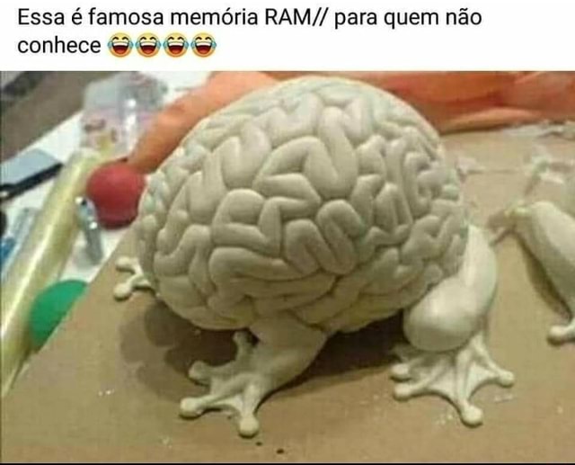 Essa é famosa memória RAM// para quem não conhece - iFunny Brazil