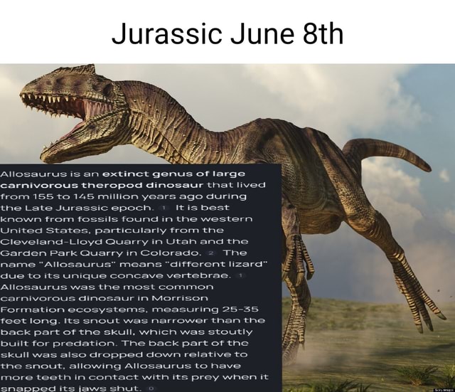 Jurassic June Allosaurus is an extinct genus of large carnivorous theropod dinosaur that lived ...