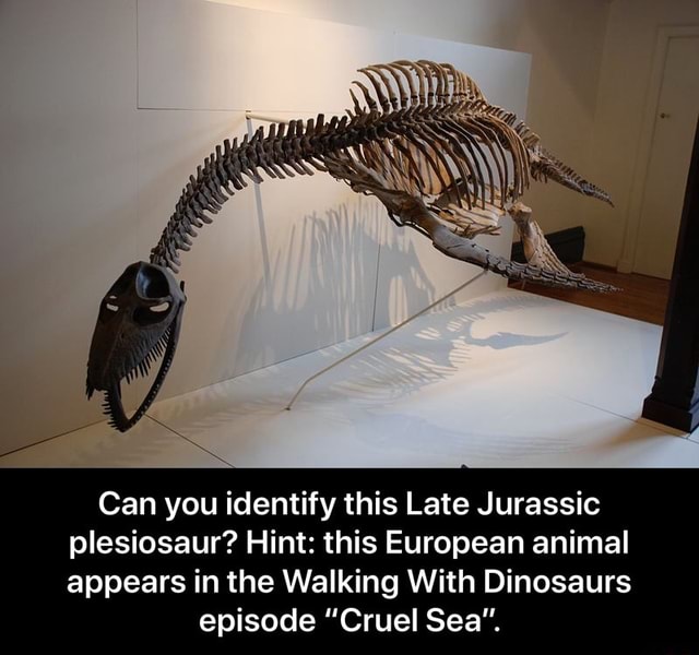 Can you identify this Late Jurassic plesiosaur? Hint: this European ...