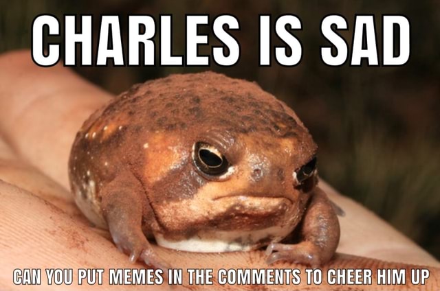 CHARLES IS SAD CAN YOU PUT MEMES IN THE COMMENTS TO CHEER HIM UP - iFunny