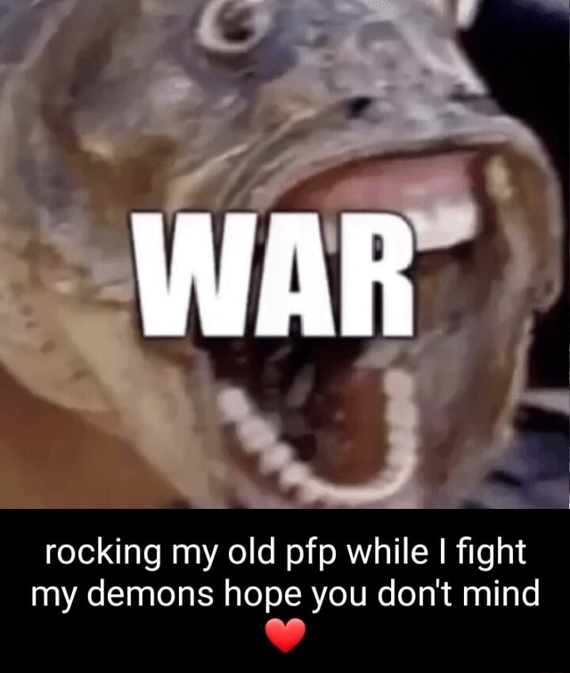 WAR rocking my old pfp while I fight my demons hope you don't mind - iFunny