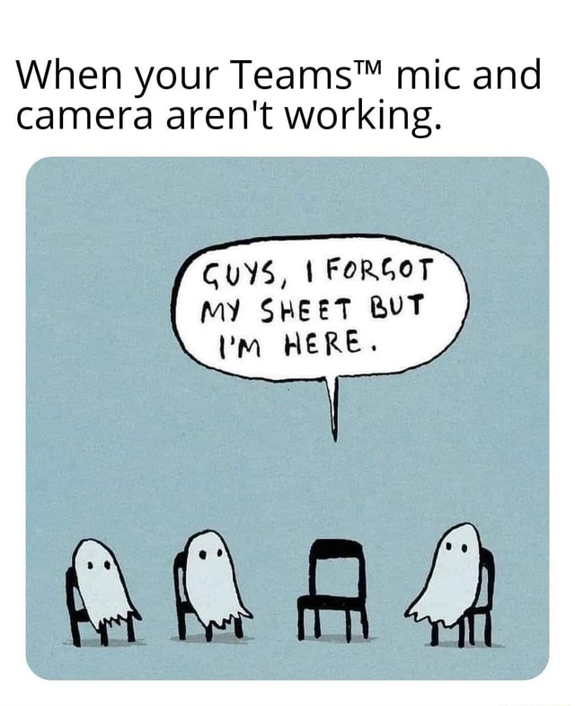 When your zoom software malfunctions - When your mic and camera aren't ...